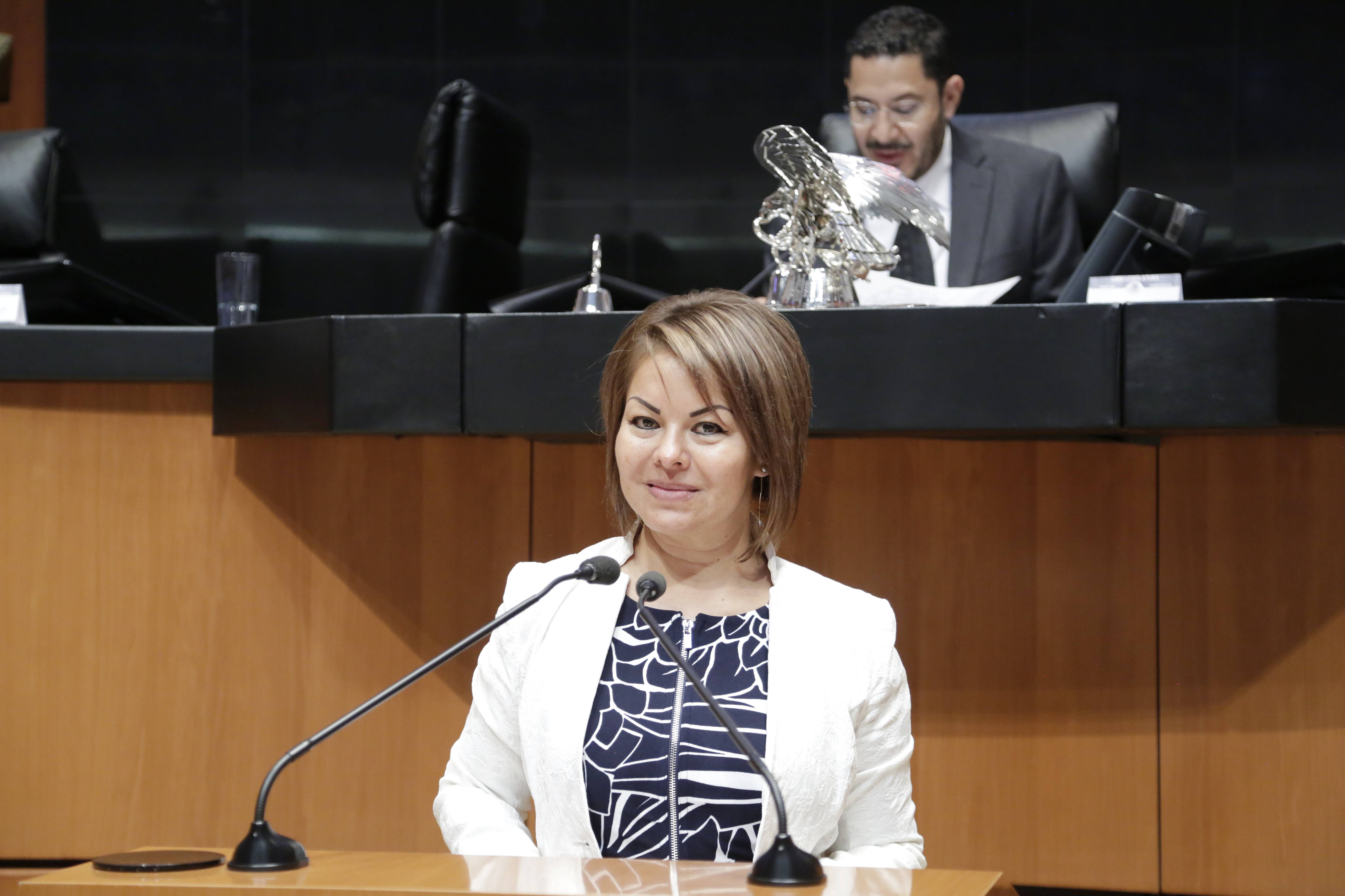 Plantea Minerva Hernández que el Senado ratifique al titular de la UIF ...