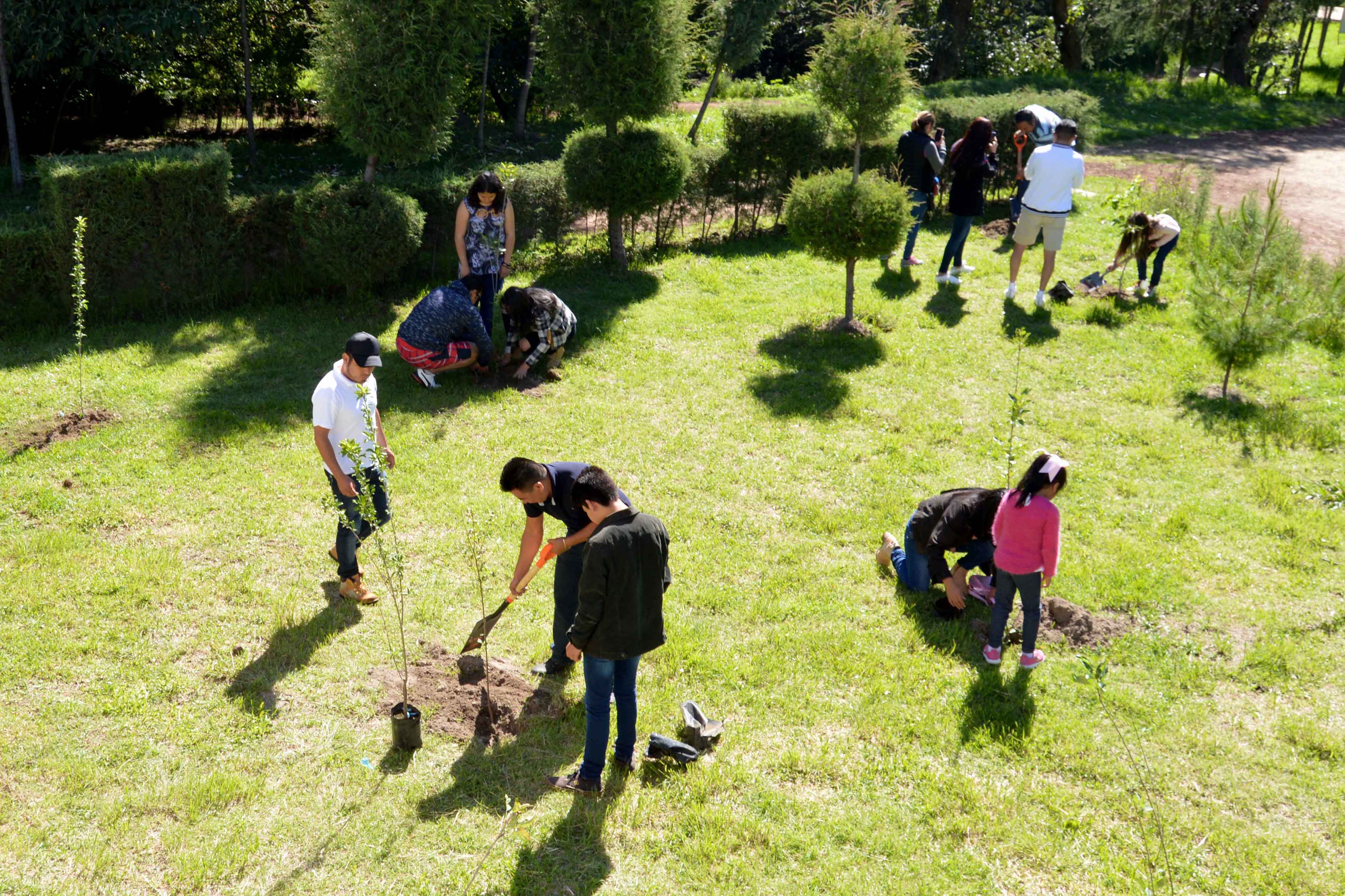 Participan más de 10 mil voluntarios en programa de Reforestación 2019 ...